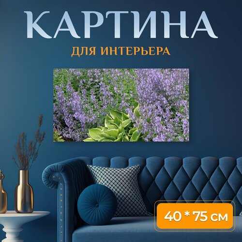 Картина на холсте "Лаванда, фиолетовый, цветы" на подрамнике 75х40 см. для интерьера