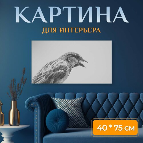 Картина на холсте "Птица, клюв, чернить" на подрамнике 75х40 см. для интерьера