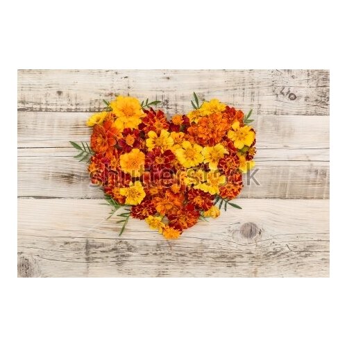 Постер на холсте Яркая цветочная композиция в форме сердца из оранжевых и тёмно-красных бархатцев на деревянном столе 45см. x 30см.