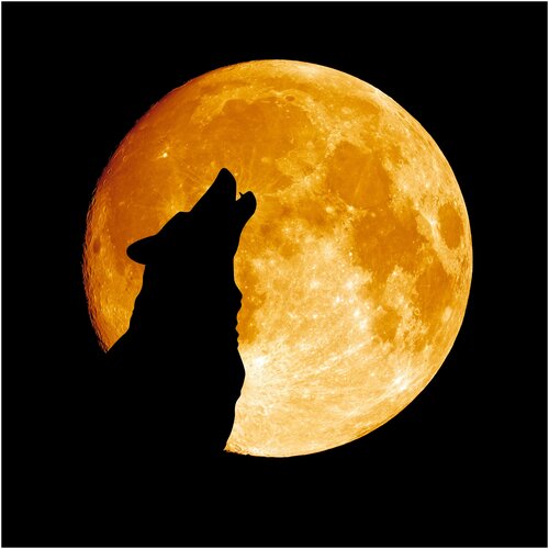 Постер на холсте Волк на фоне луны 40см. x 40см.