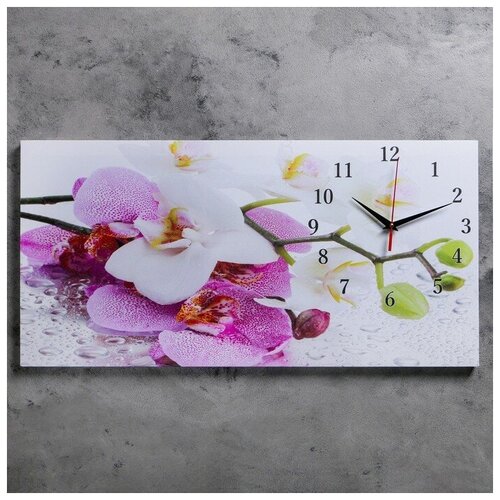 Сюжет Часы настенные, на холсте, серия: Цветы, "Орхидеи", 40х76 см