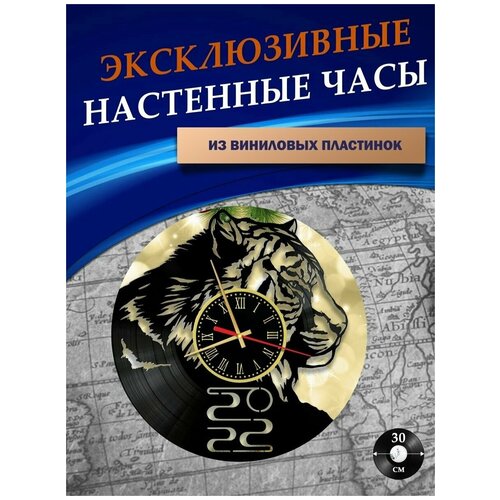 Часы настенные из Виниловых пластинок - Тигр (без подложки)