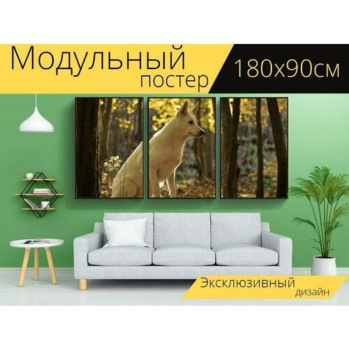 Модульный постер "Собака, лес, природа" 180 x 90 см. для интерьера