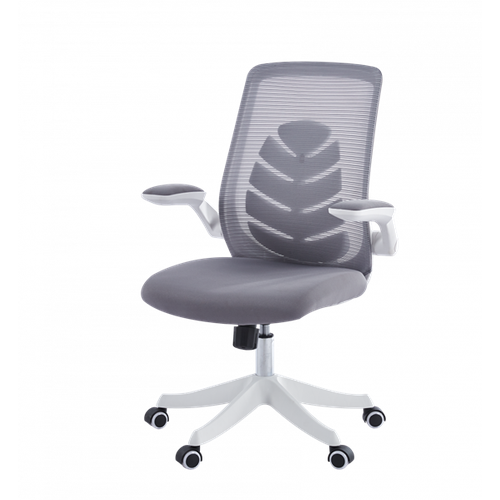 Офисное кресло Chairman CH565 белый пластик, серый (7146049)