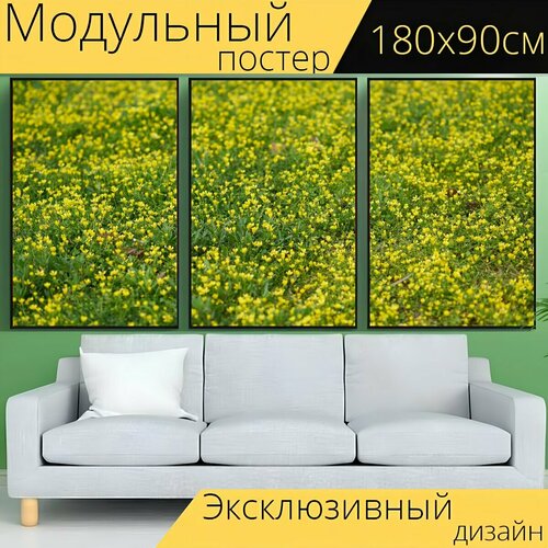 Модульный постер "Трава, ромашки, весна" 180 x 90 см. для интерьера