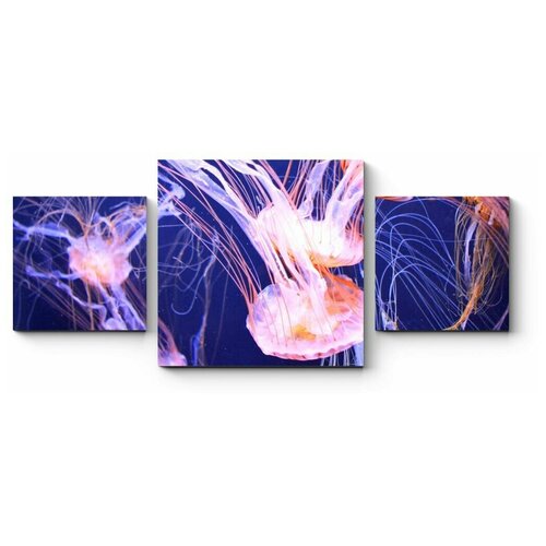 Модульная картина Очаровательные медузы130x56