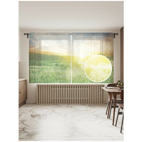 Тюль для кухни и спальни JoyArty "Одуванчики на лугу", 2 полотна со шторной лентой, 145x180 см.