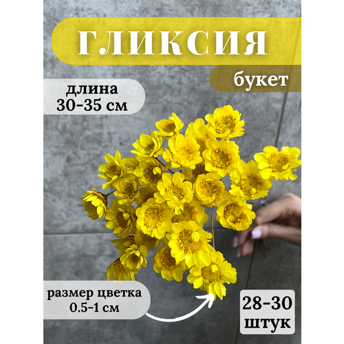 Сухоцветы Гликсия для декора и творчества (Цвет: желтый)