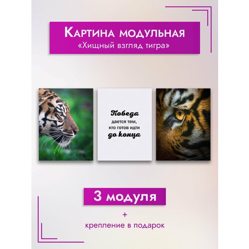 Картина модульная ArtZakaz Мотивация, Хищный взгляд тигра 90х40 см 3 модуля