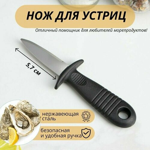 Нож для устриц, 14х4,4 см, длина лезвия 5,7см, цвет чёрный / 7816802