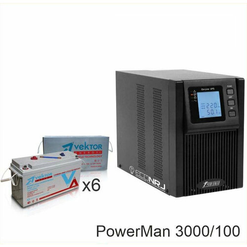 ИБП POWERMAN ONLINE 3000 Plus + Vektor VPbC 12-100