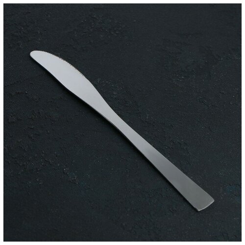 Нож столовый Доляна Gleen, h=22 см, толщина 2 мм, цвет серебряный , 12 шт.