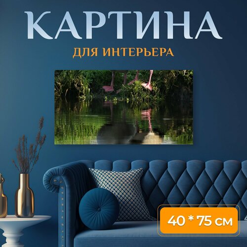Картина на холсте "Египетские, египетский гусь, птицы" на подрамнике 75х40 см. для интерьера