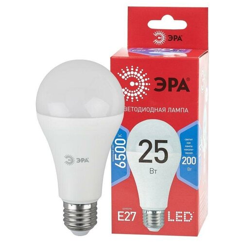 Лампа светодиодная ECO LED A65-25W-865-E27 R (диод груша 25Вт холодн. E27) (10/100/1200) Эра Б0048011 (9шт.)