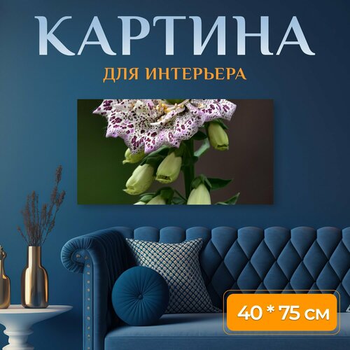 Картина на холсте "Цветы, весна, цветок" на подрамнике 75х40 см. для интерьера