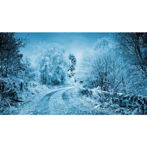 Картина на холсте 60x110 LinxOne "Зима Снег иней" интерьерная для дома / на стену / на кухню / с подрамником