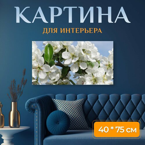 Картина на холсте "Груша, весна, цвести" на подрамнике 75х40 см. для интерьера