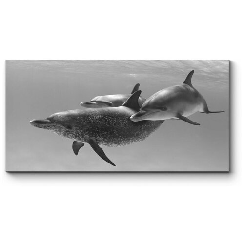 Модульная картина Трио пятнистых дельфинов80x40