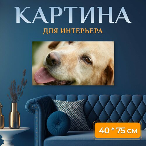 Картина на холсте "Собака, симпатичные, родословная" на подрамнике 75х40 см. для интерьера