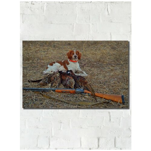 Картина интерьерная на рельефной доске Животные (охотничей пёс, собака) - 598