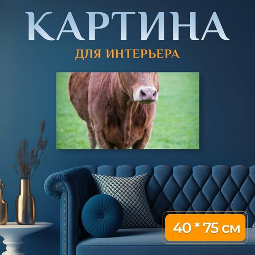 Картина на холсте "Корова, животное, ферма" на подрамнике 75х40 см. для интерьера