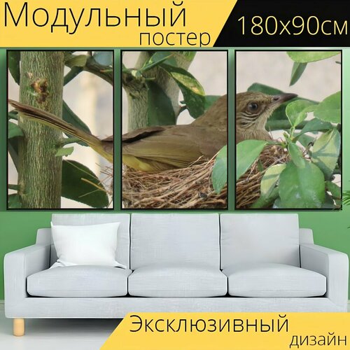Модульный постер "Животное, птицы, гнездо" 180 x 90 см. для интерьера