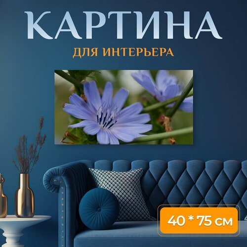 Картина на холсте "Цветок, синий цветок, лепестки" на подрамнике 75х40 см. для интерьера