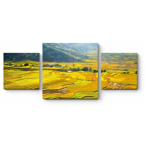 Модульная картина Рисовые поля у подножия гор Вьетнама 160x69