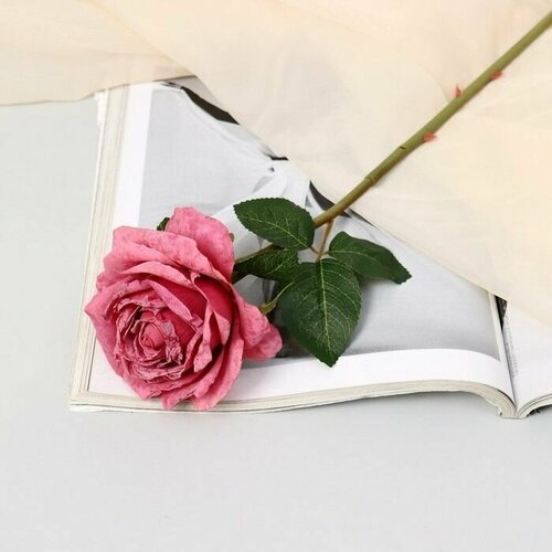 Цветы искусственные Роза эстетик 10х49 см, пепельно-розовый