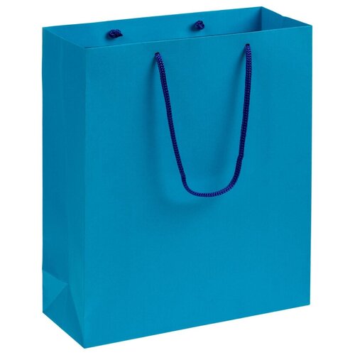 Пакет подарочный Wide, голубой,23х28х9,2см, бумага,74440.14