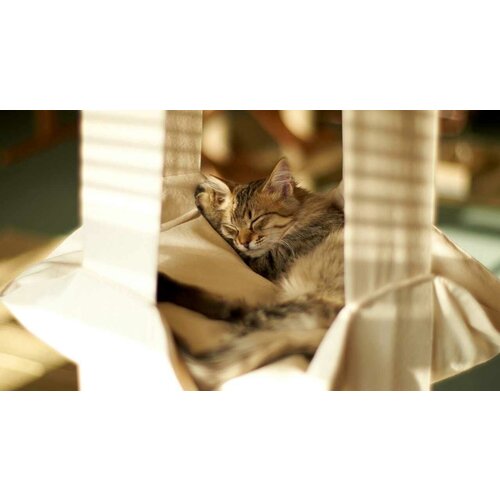 Картина на холсте 60x110 LinxOne "Кот лежать полосатый" интерьерная для дома / на стену / на кухню / с подрамником