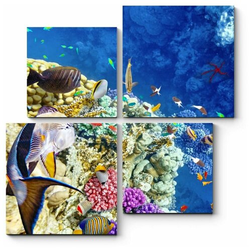 Модульная картина Обитатели морского дна 60x60