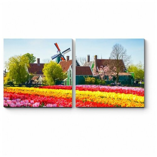 Модульная картина Тюльпановое поле, Амстердам 130x65
