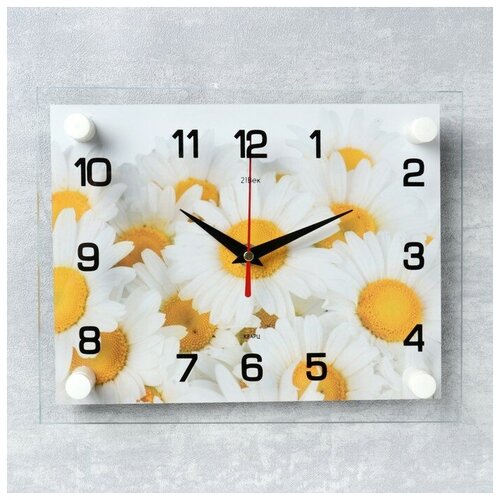 Часы настенные, серия: Цветы, "Ромашки", плавный ход, 20 х 26 см