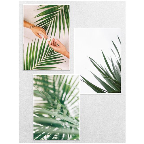 Постеры интерьерные пальмовые листья минимализм Набор Плакатов 3 шт