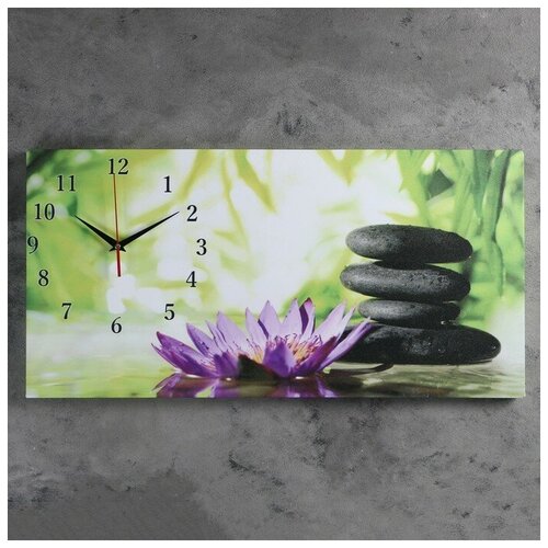 Часы настенные, на холсте, серия: Цветы, "Цветы и камни", 40х76 см