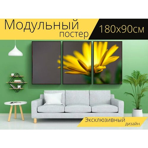 Модульный постер "Маргарита, желтый цветок, цвести" 180 x 90 см. для интерьера
