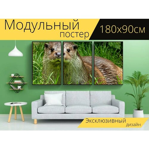 Модульный постер "Выдра, лутра, животное" 180 x 90 см. для интерьера