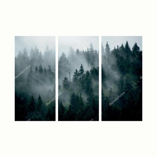 Модульная картина "Лес туман" (Размер:90х60см (28х60,28х60,28х60))