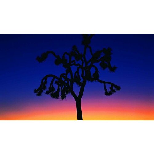 Картина на холсте 60x110 Альянс Лес "Дерево на закате" на подрамнике / интерьер/ декор