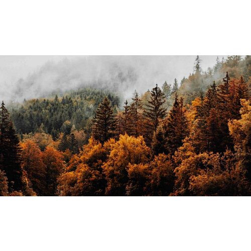 Картина на холсте 60x110 LinxOne "Лес, деревья, туман, облака" интерьерная для дома / на стену / на кухню / с подрамником