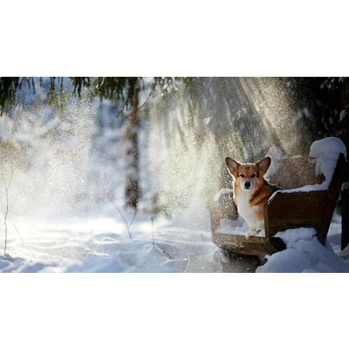 Картина на холсте 60x110 LinxOne "Животное скамья лучи снег" интерьерная для дома / на стену / на кухню / с подрамником