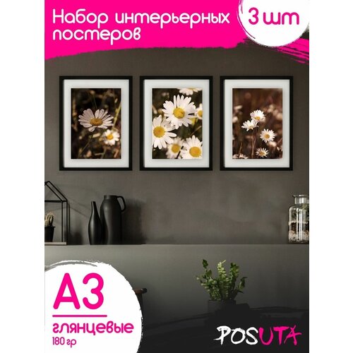 Постеры полевые цветы ромашки декор для дома Картины А3