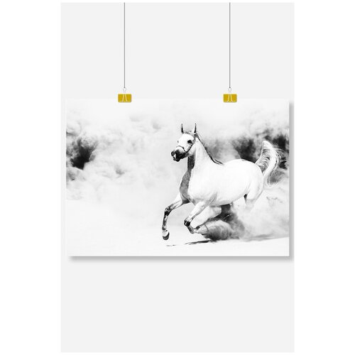 Постер на стену для интерьера Postermarkt Бегущая лошадь, размер 70х100 см, постеры картины для интерьера в тубусе