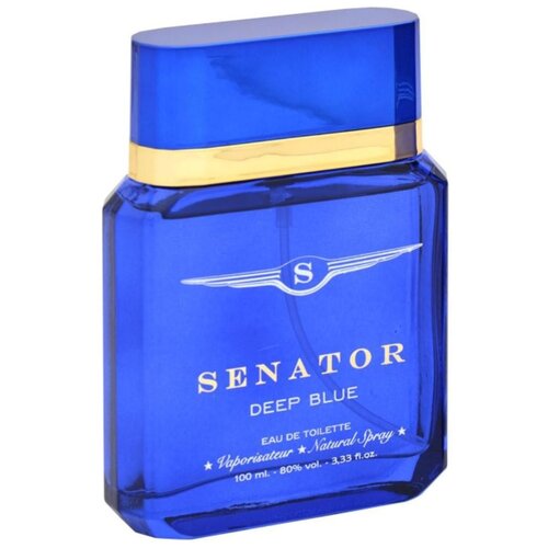 Art Positive туалетная вода Senator Deep Blue, 100 мл, 100 г