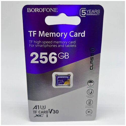 Карта памяти BOROFONE, TF High speed Memory card, 256GB, Class 10 , A1, XC I, V30