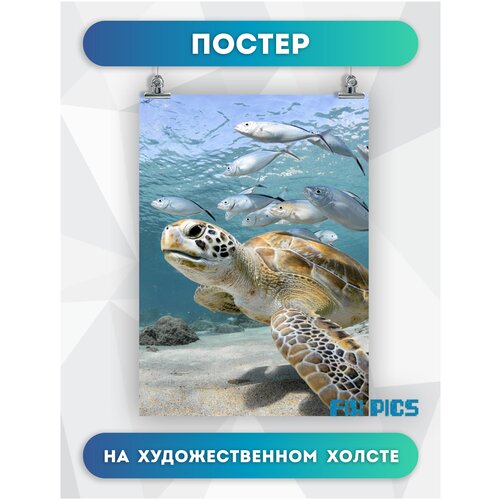 Постер на стену черепаха, рыбы, поводный мир 50х70 см