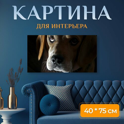 Картина на холсте "Собака, животное, портрет" на подрамнике 75х40 см. для интерьера