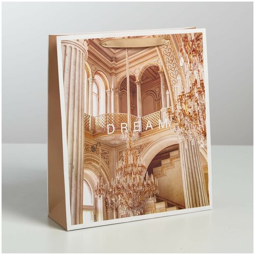 Пакет ламинированный вертикальный «Dream», M 26 × 30 × 9 см