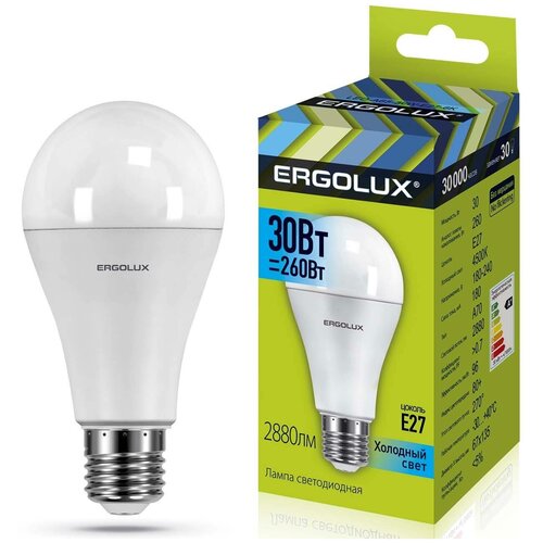 Лампочки светодиодные Ergolux LED-A70-30W-E27-4K Набор из 10